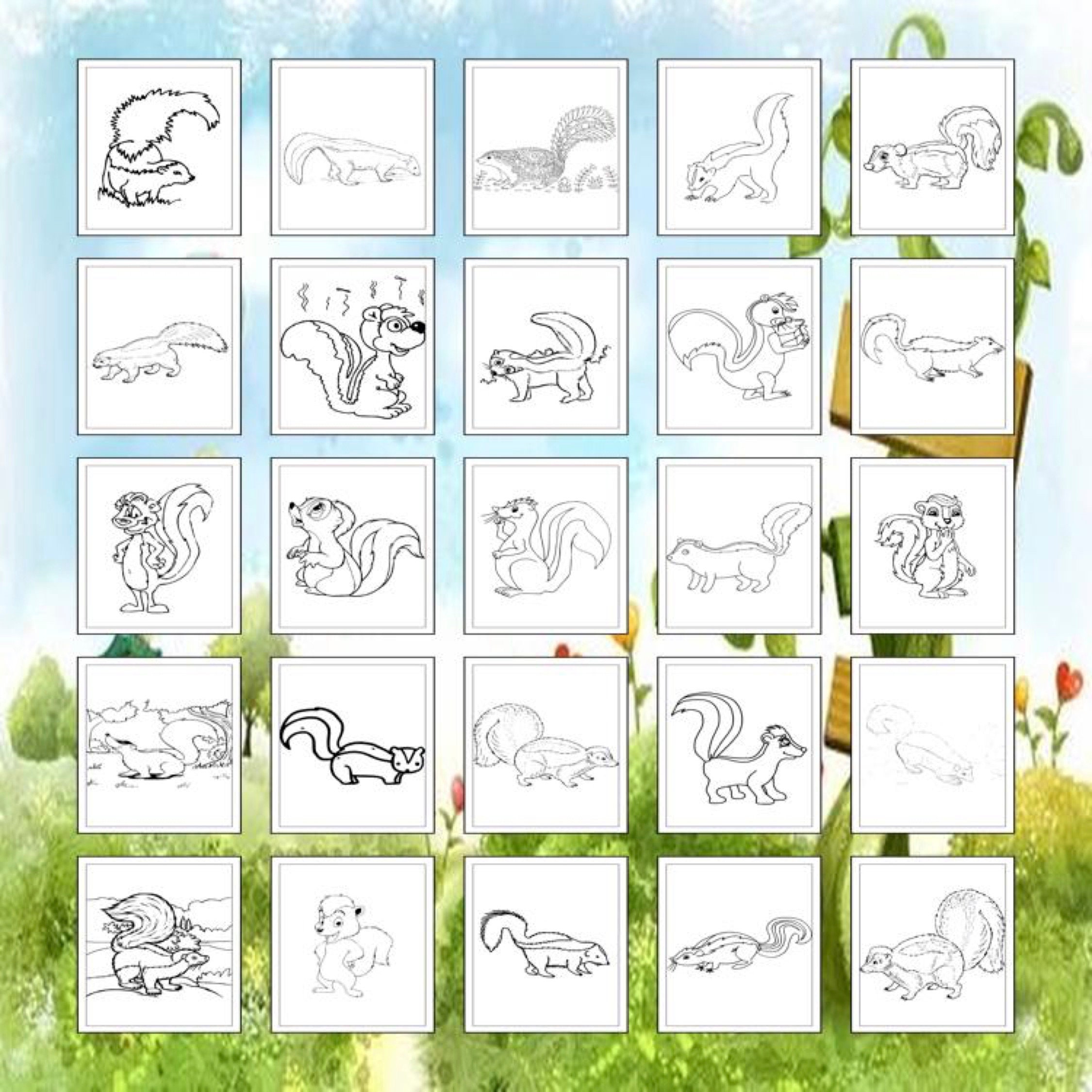 Printable Skunk Coloring Pages for Kids & Adults 30 Pages Instant ...