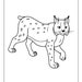 Printable Lynx Coloring Pages for Kids & Adults | 30 Pages | Instant ...