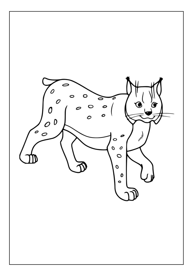 Printable Lynx Coloring Pages for Kids & Adults 30 Pages - Etsy