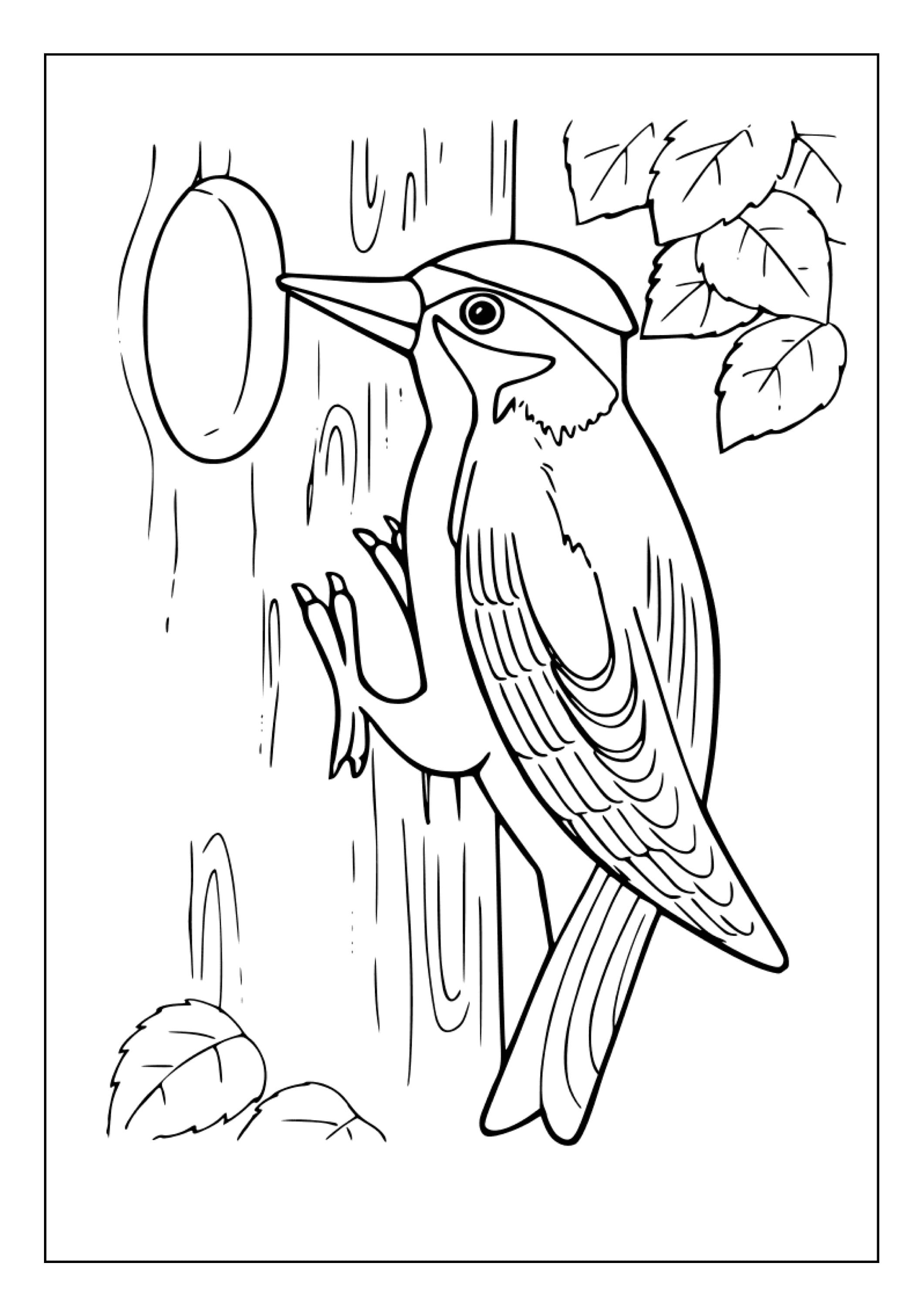 Printable Woodpecker Coloring Pages for Kids & Adults | 25 Pages ...