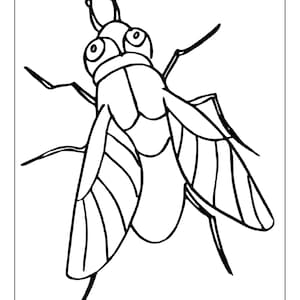 Printable Fly Coloring Pages for Kids & Adults | 25 Pages | Instant ...