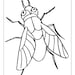 Printable Fly Coloring Pages for Kids & Adults | 25 Pages | Instant ...