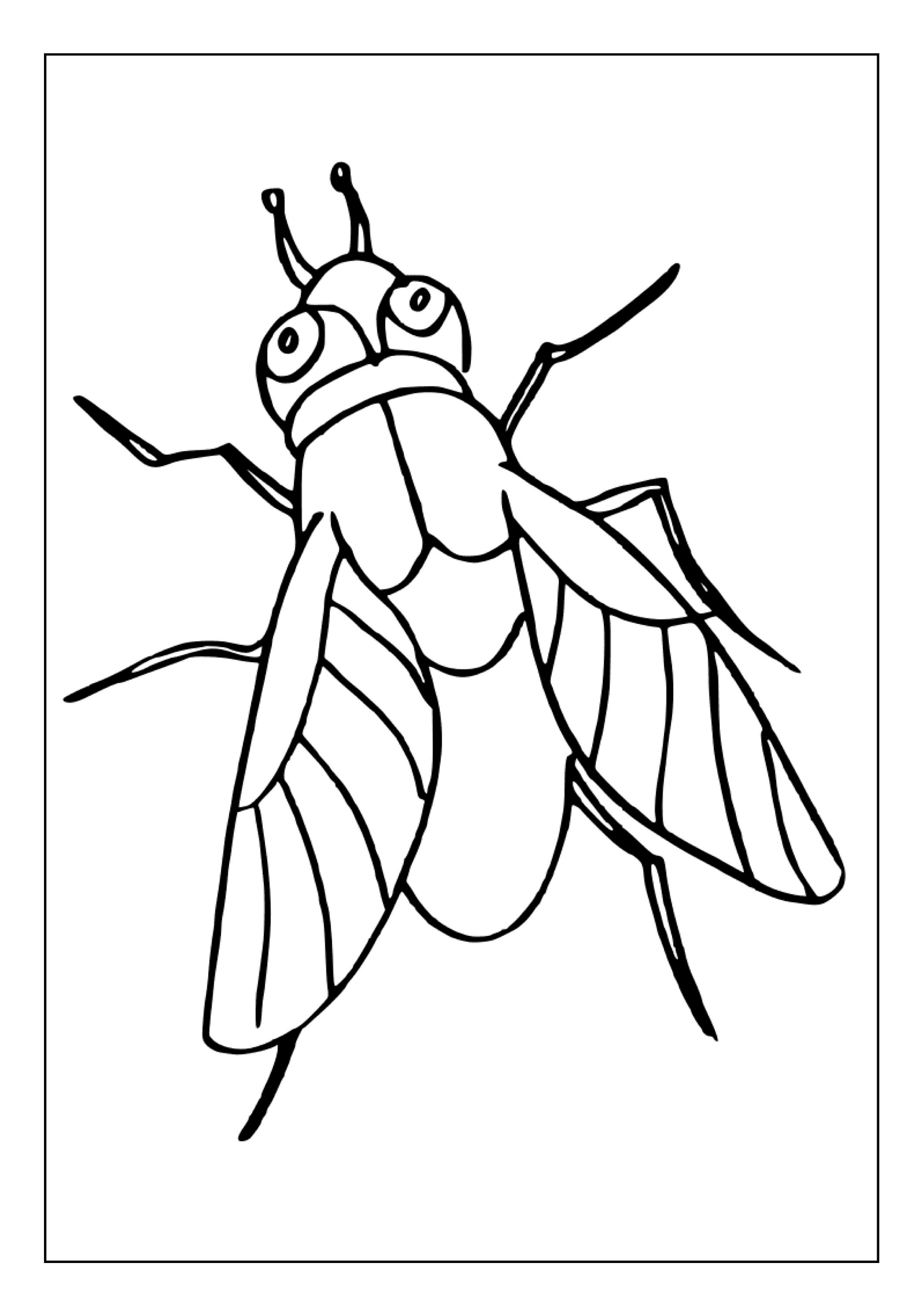 Printable Fly Coloring Pages for Kids & Adults | 25 Pages | Instant ...