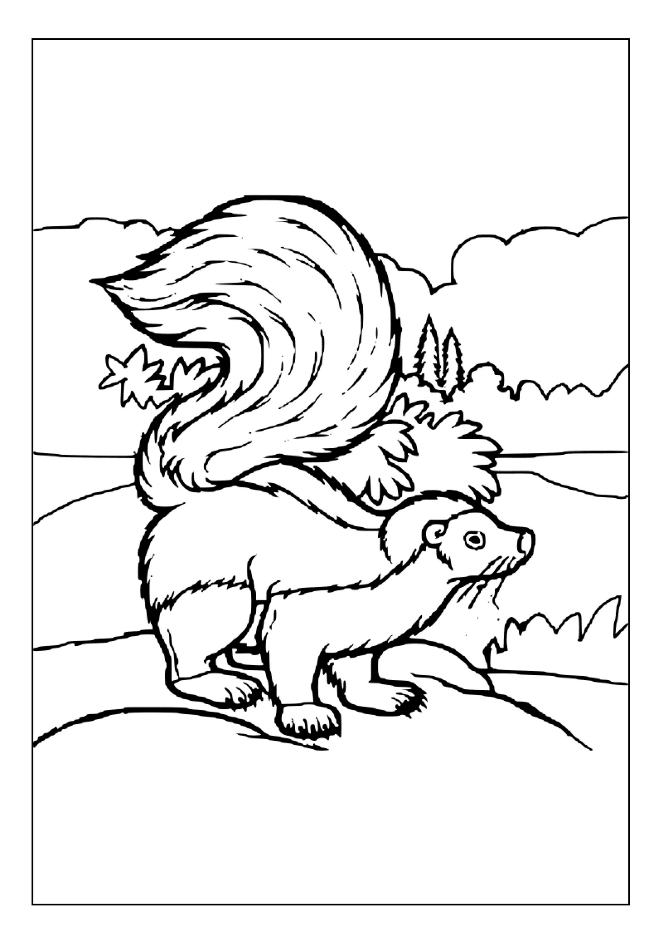 Printable Skunk Coloring Pages for Kids & Adults 30 Pages Instant ...