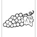 Printable Grapes Coloring Pages for Kids & Adults | 30 Pages | Instant ...