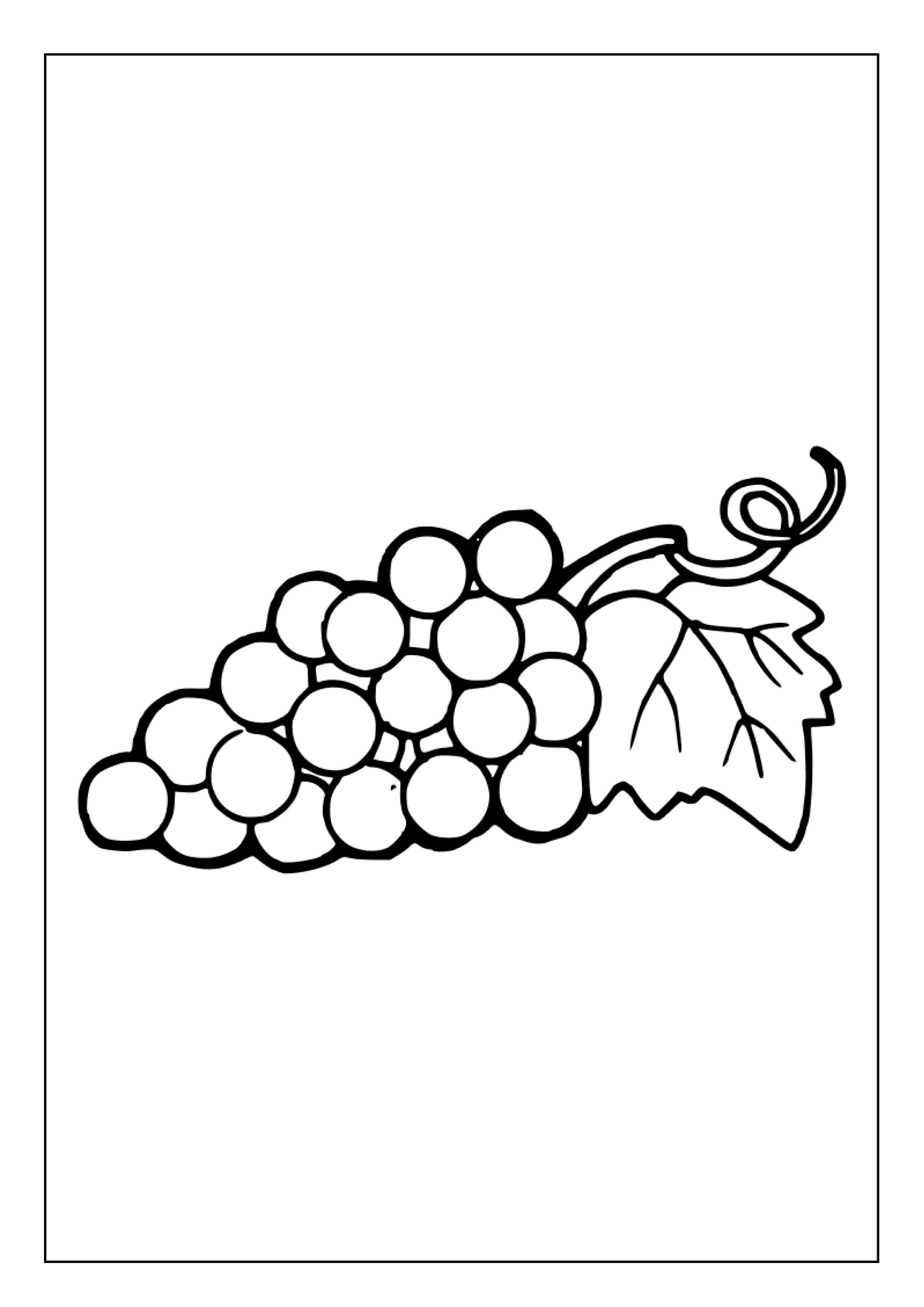 Printable Grapes Coloring Pages for Kids & Adults | 30 Pages | Instant ...