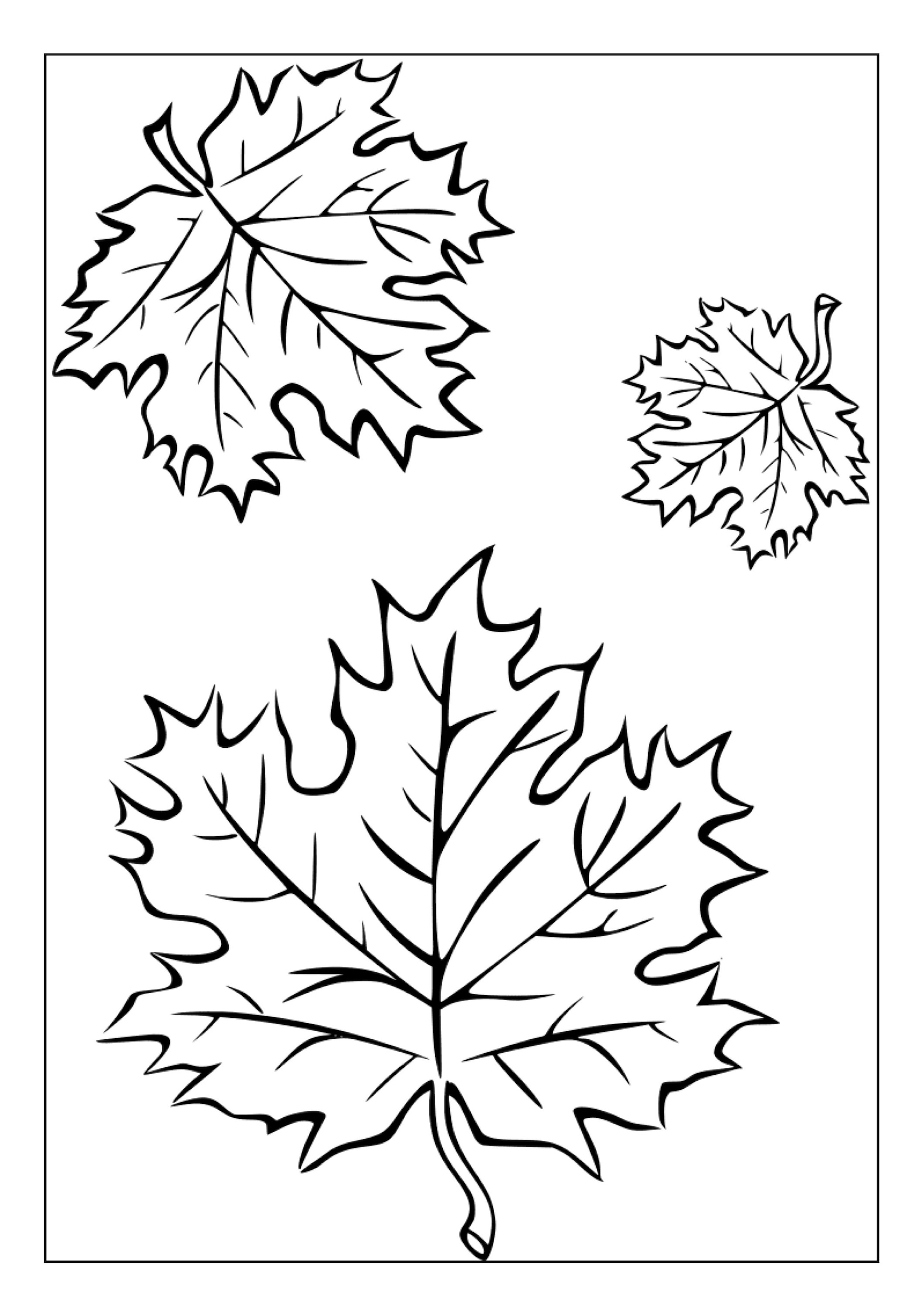 Printable Leaves Coloring Pages for Kids & Adults 80 Pages Digital ...