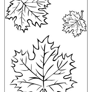 Printable Leaves Coloring Pages for Kids & Adults | 80 Pages | Digital ...
