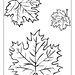 Printable Leaves Coloring Pages for Kids & Adults 80 Pages Digital ...