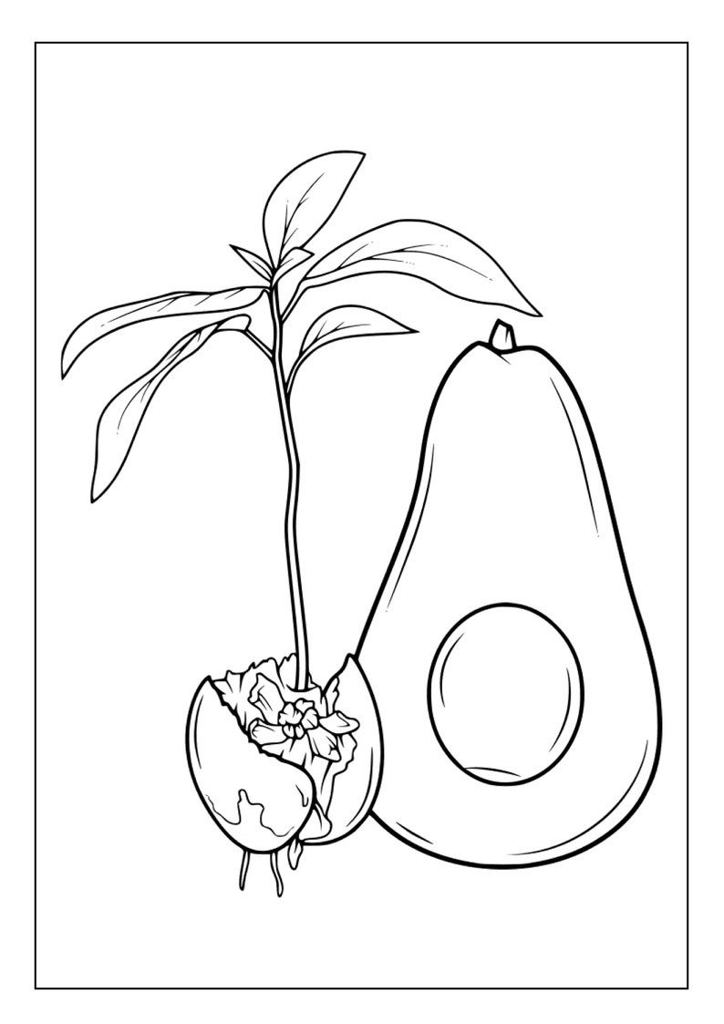 Printable Avocado Coloring Pages for Kids & Adults | 35 Pages | Instant ...