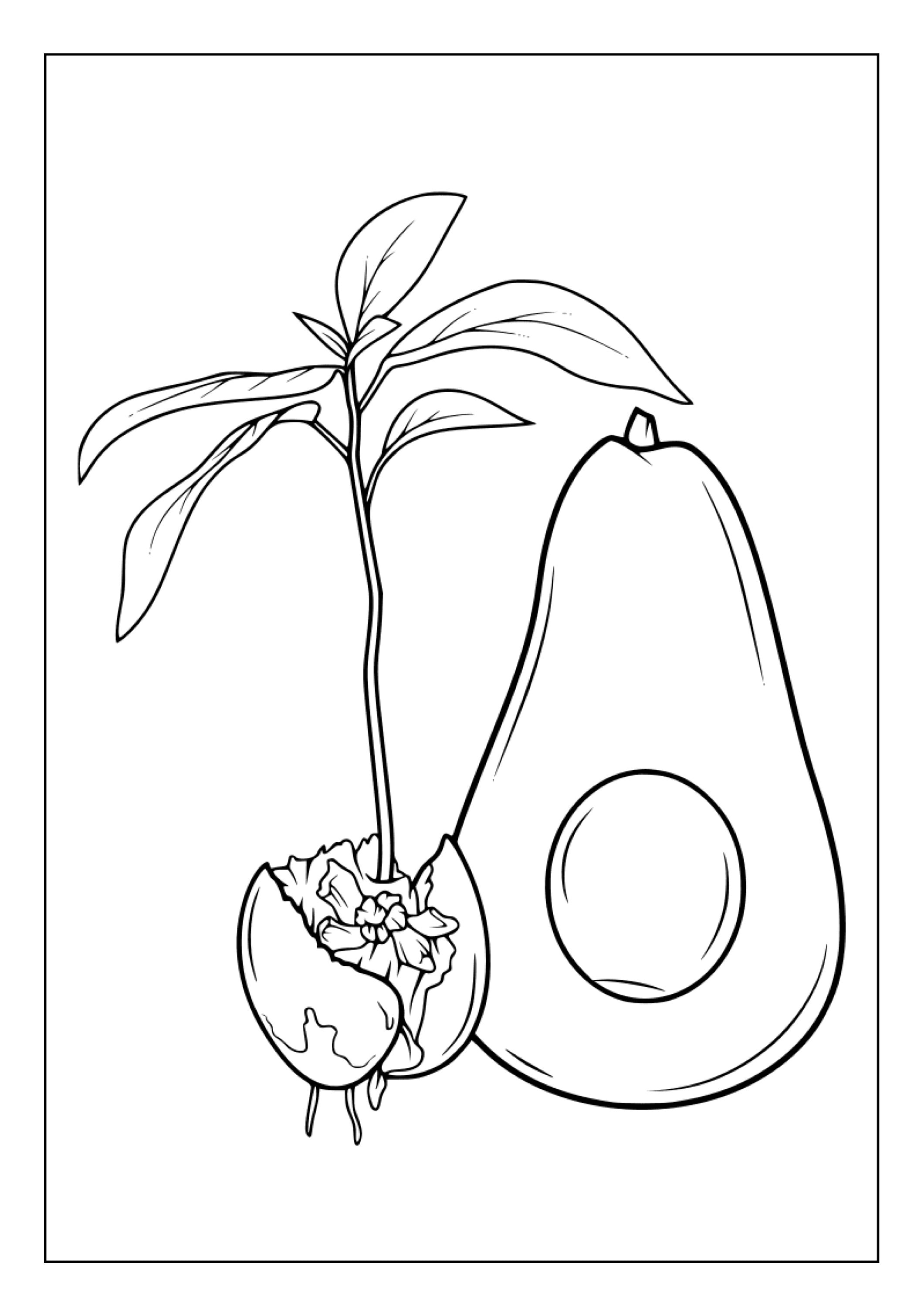 Printable Avocado Coloring Pages for Kids & Adults | 35 Pages | Instant ...
