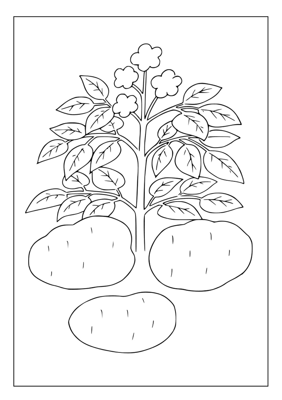 Printable Potato Coloring Pages for Kids & Adults | 30 Pages | Digital ...