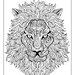 Printable Lions Coloring Pages for Kids and Adults | 100 Pages ...