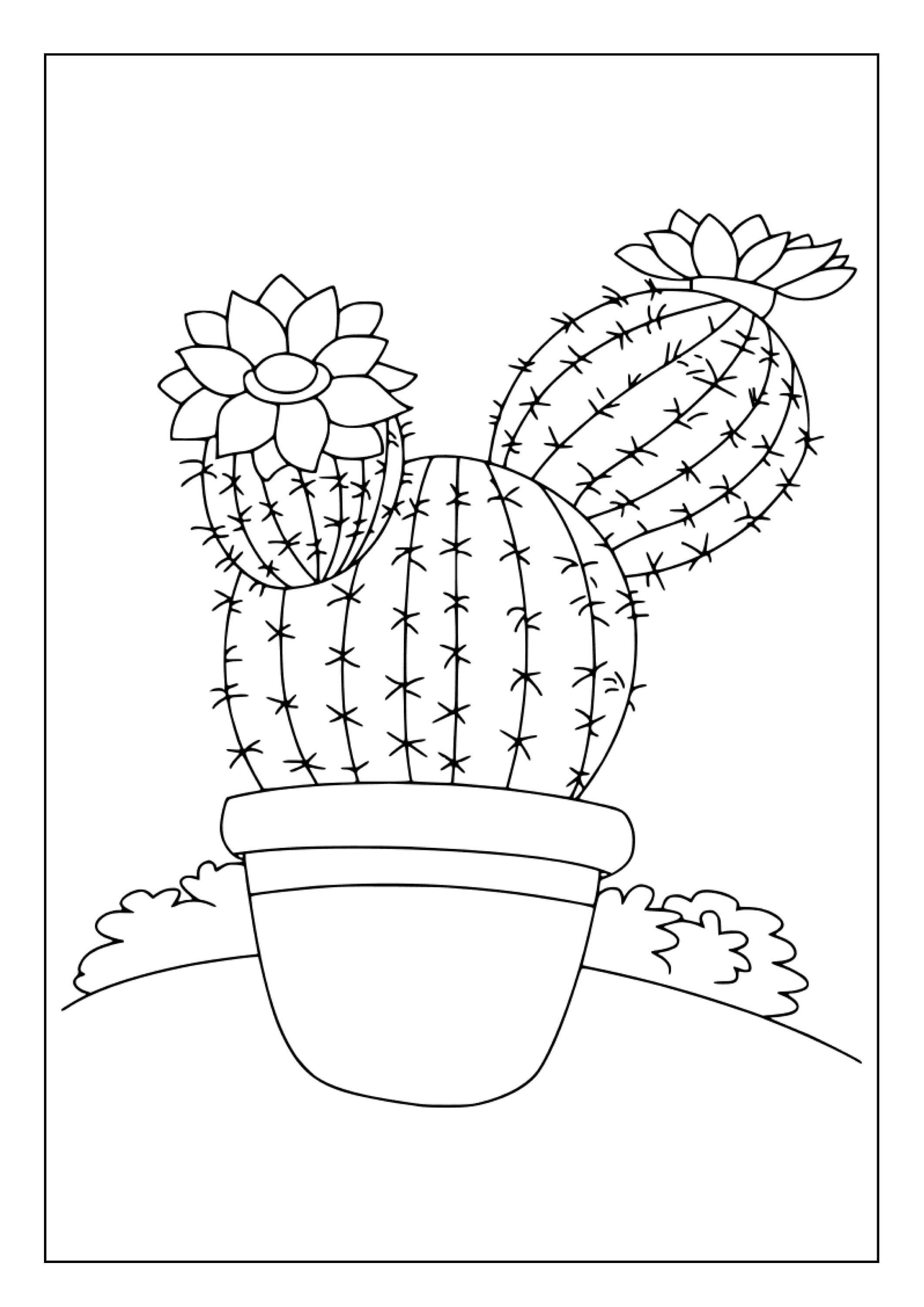 Printable Succulent Coloring Pages for Kids & Adults | 30 Pages ...