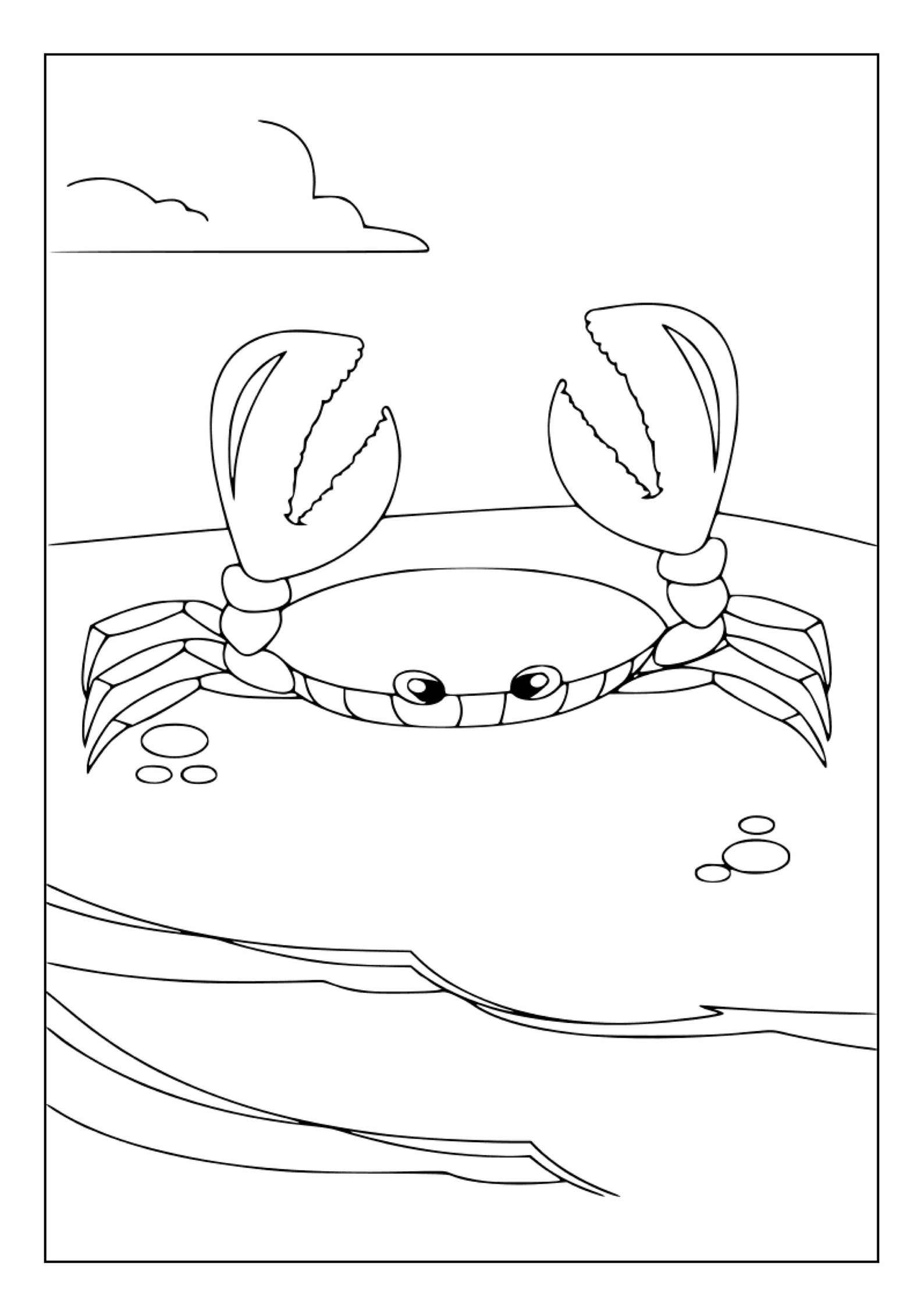 Printable Crabs Coloring Pages for Kids and Adults | 40 Pages | Instant ...