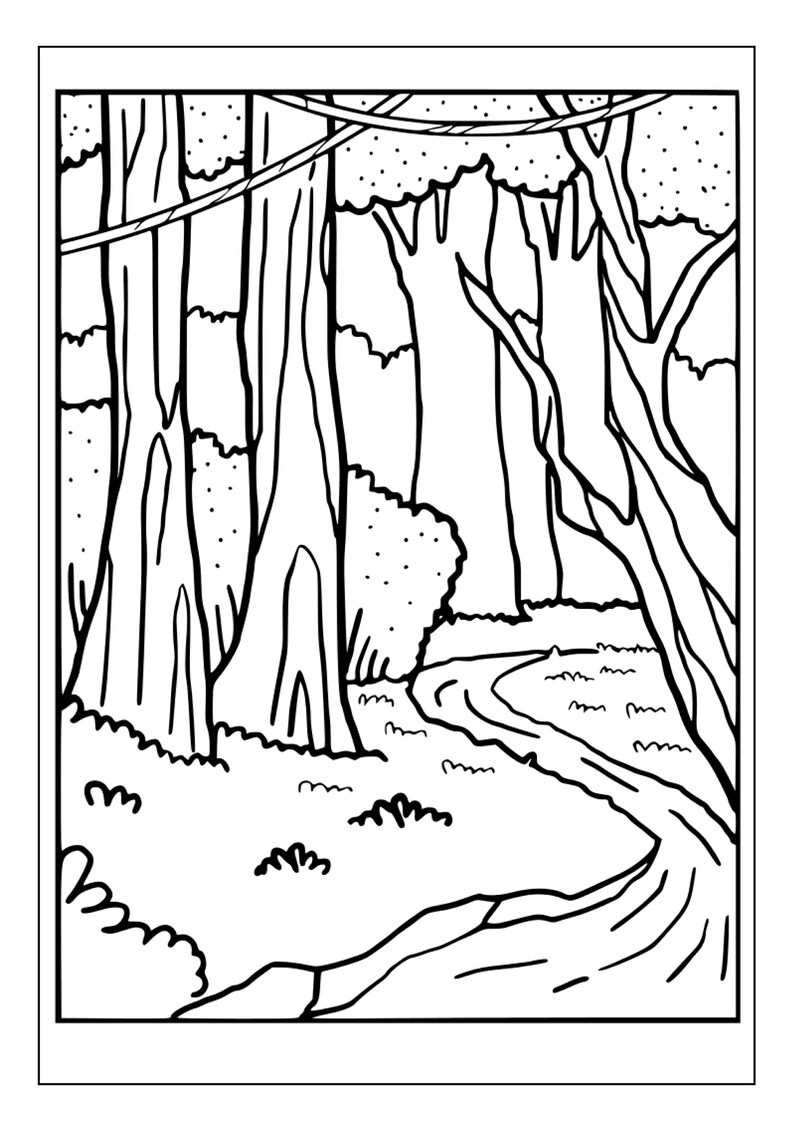 Printable Forest Coloring Pages for Kids & Adults | 65 Pages | Instant ...