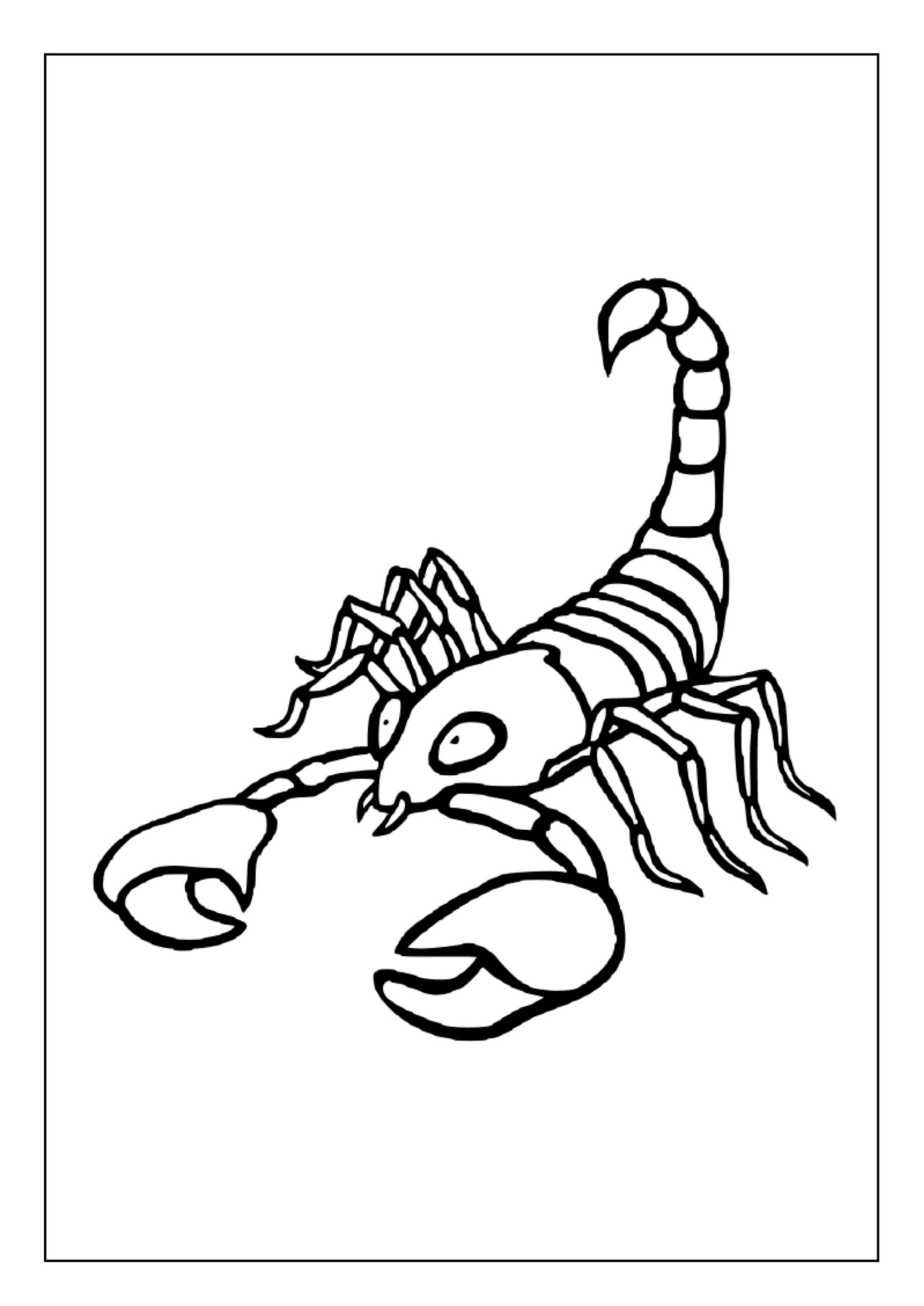 Printable Scorpio Coloring Pages for Kids & Adults | 30 Pages | Instant ...