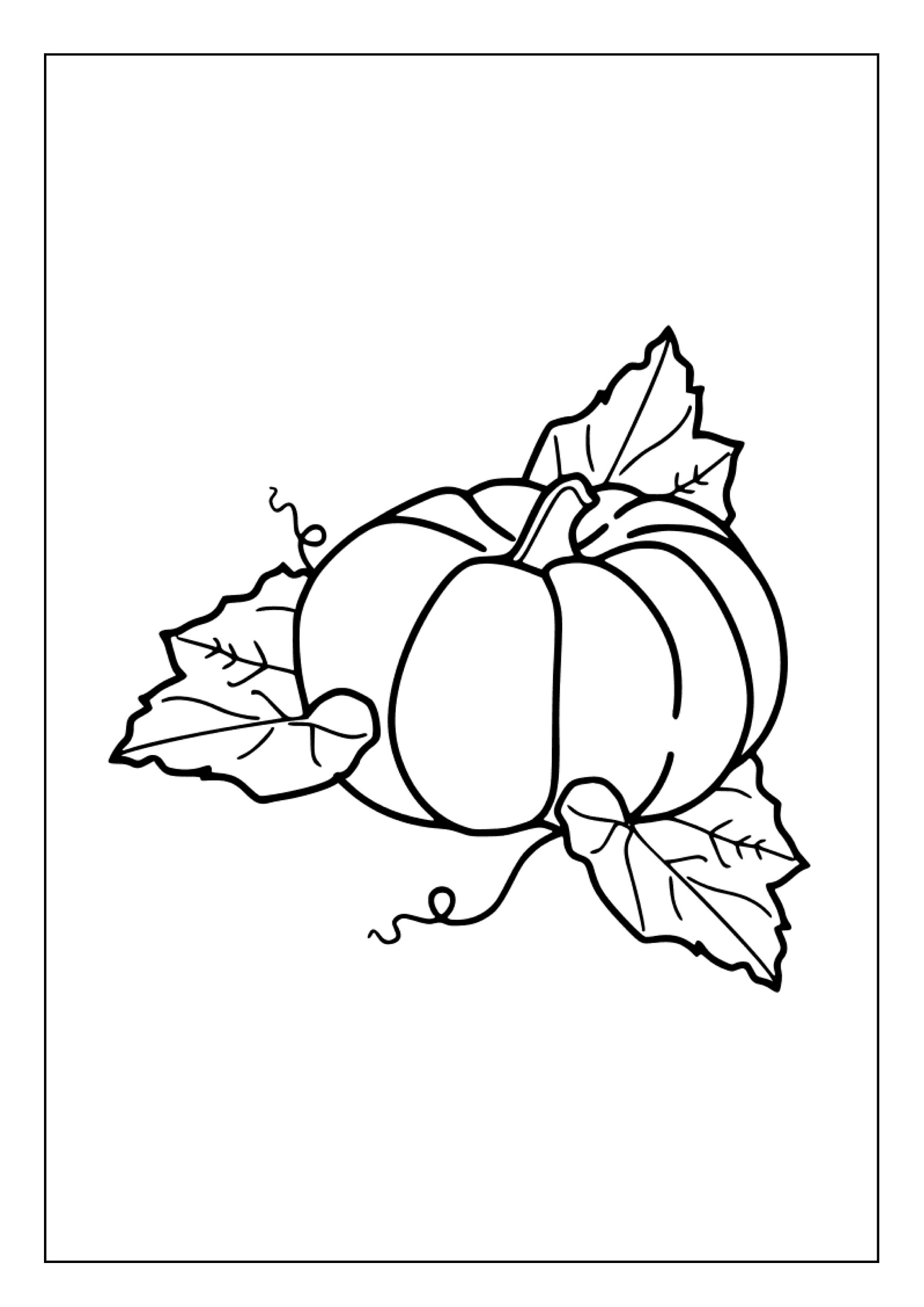 Printable Pumpkin Coloring Pages for Kids & Adults | 25 Pages | Digital ...