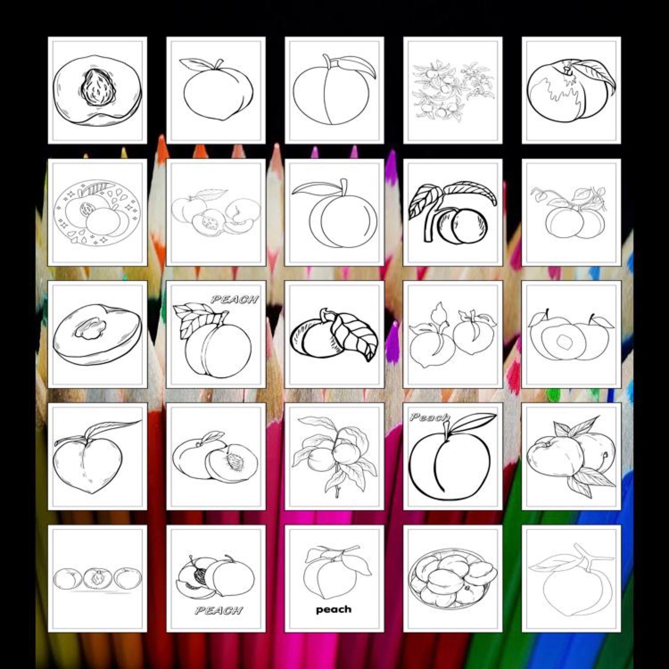 Printable Peach Coloring Pages for Kids & Adults | 25 Pages | Instant ...