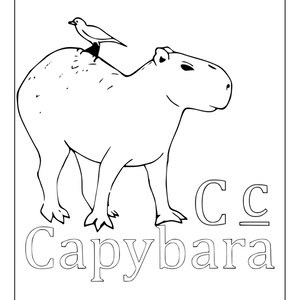 Printable Capybara Coloring Pages for Kids & Adults | 35 Pages ...