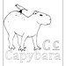 Printable Capybara Coloring Pages for Kids & Adults 35 Pages Digital ...