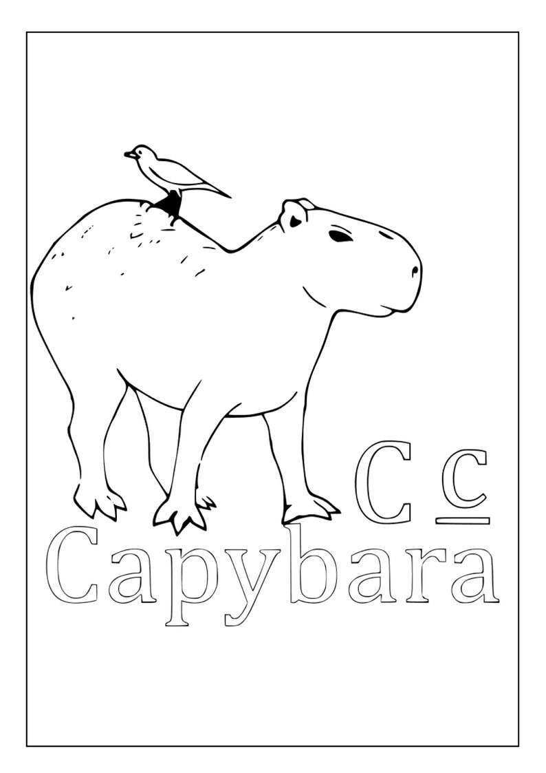 Printable Capybara Coloring Pages for Kids & Adults | 35 Pages ...