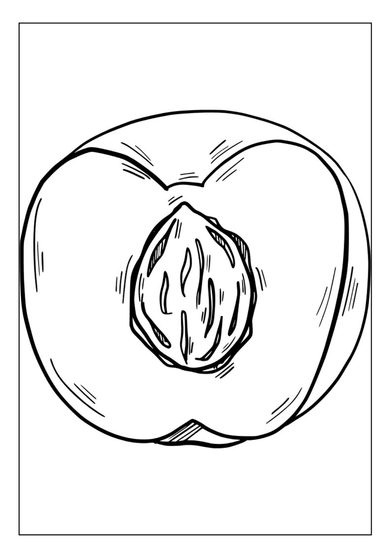 Printable Peach Coloring Pages for Kids & Adults | 25 Pages | Instant ...