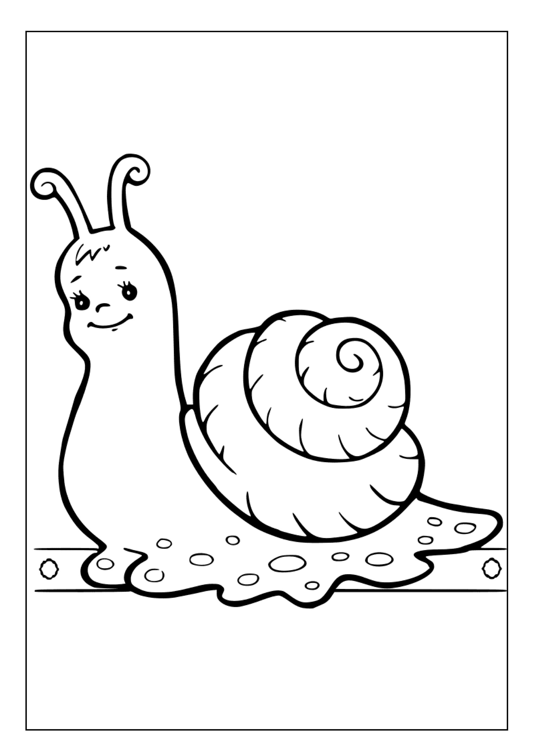 Printable Snail Coloring Pages for Kids and Adults | 90 Pages | Instant ...