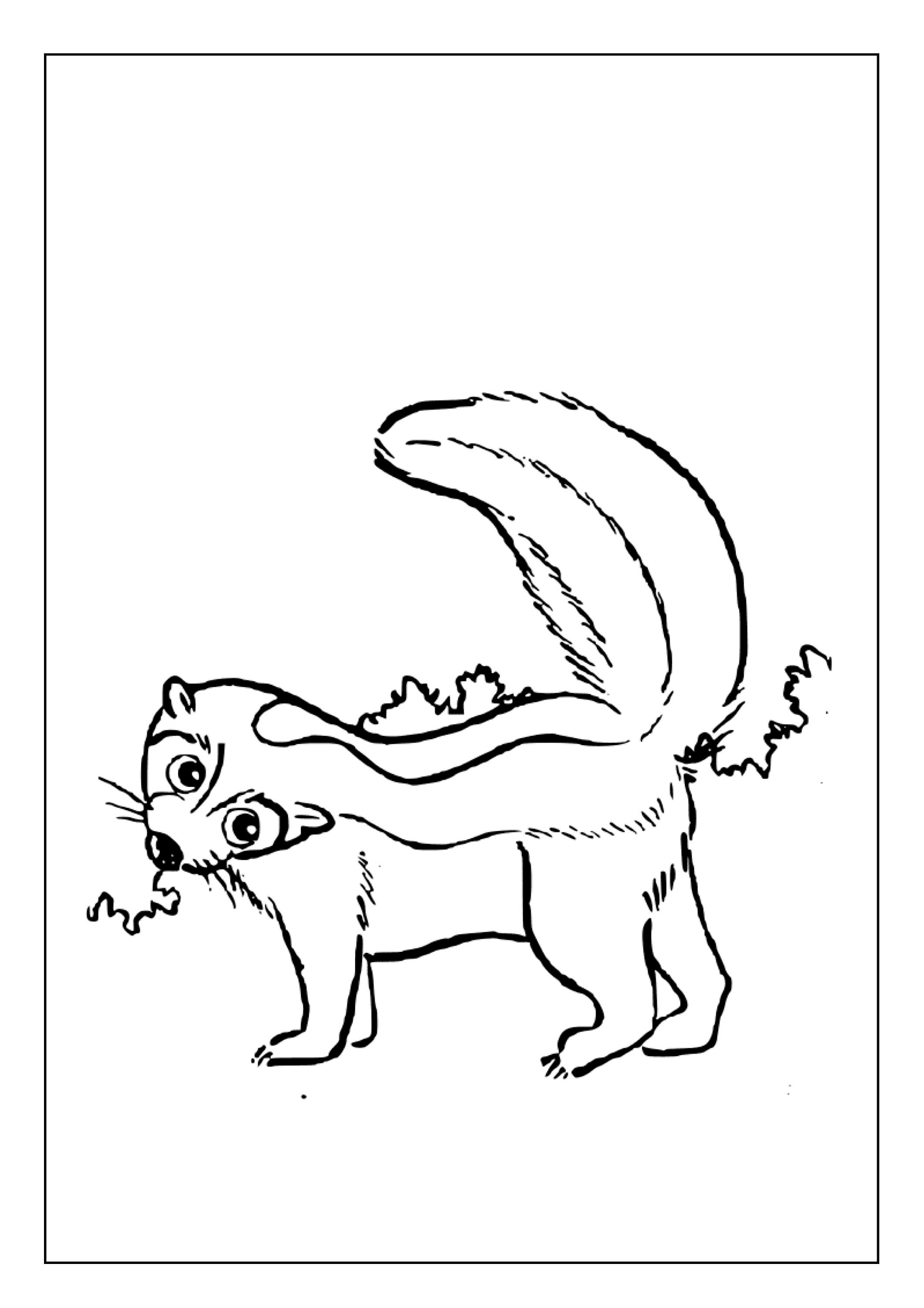 Printable Skunk Coloring Pages for Kids & Adults 30 Pages Instant ...