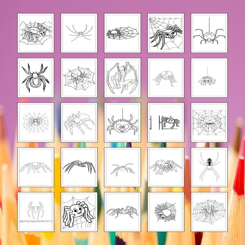 Printable Spiders Coloring Pages for Kids & Adults | 80 Pages | Instant ...