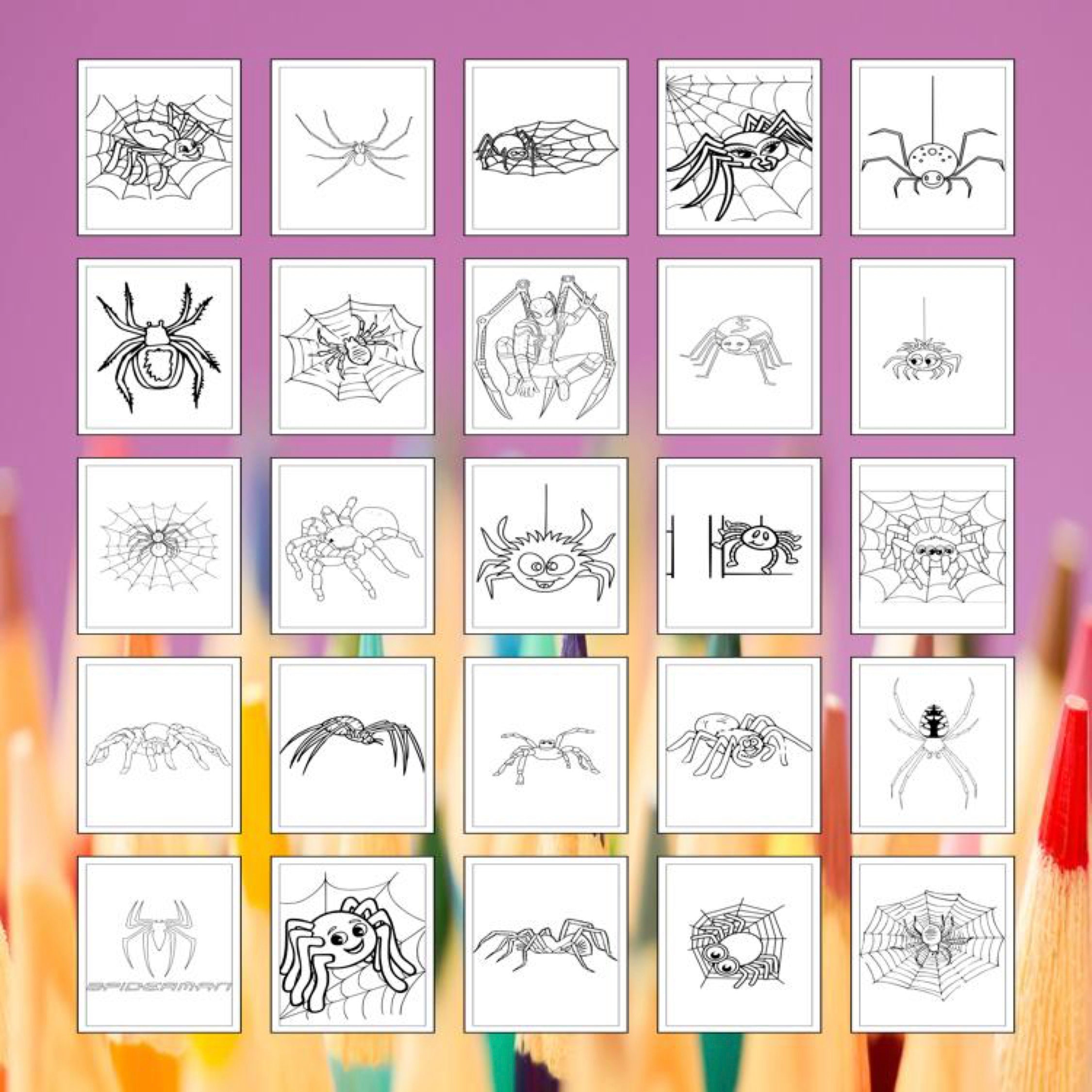 Printable Spiders Coloring Pages for Kids & Adults | 80 Pages | Instant ...