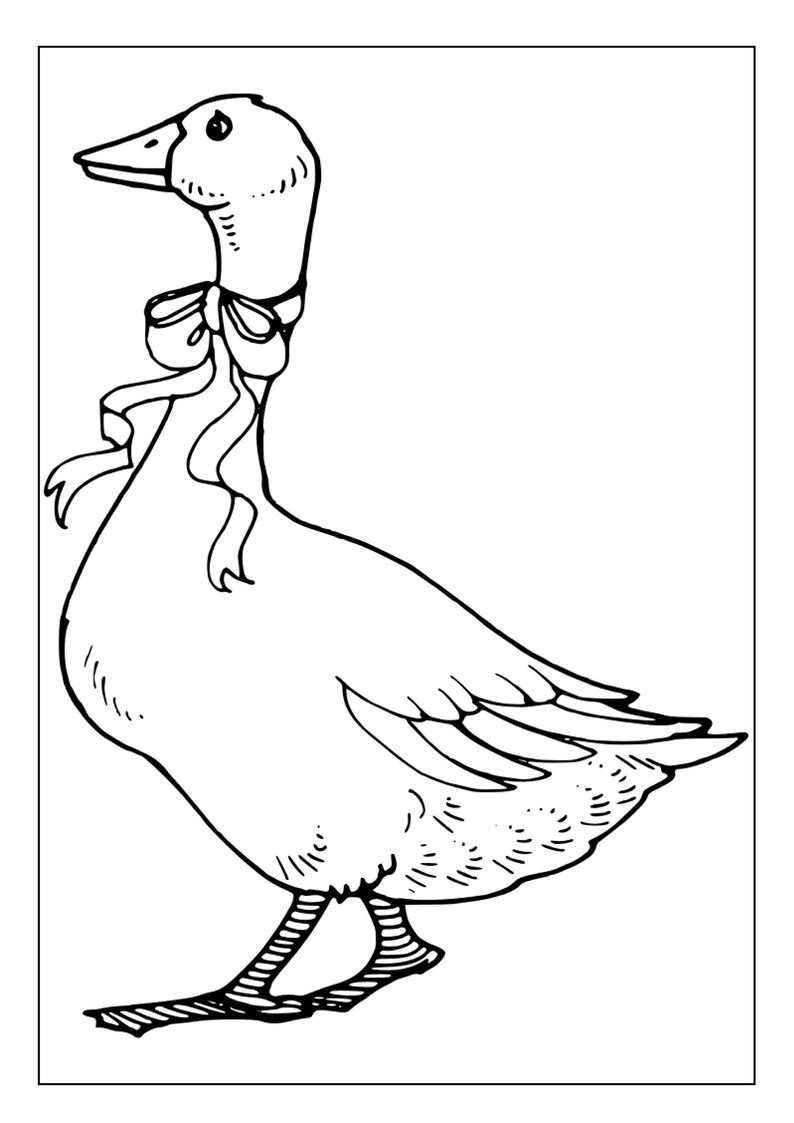 Printable Goose Coloring Pages for Kids & Adults | 30 Pages | Instant ...