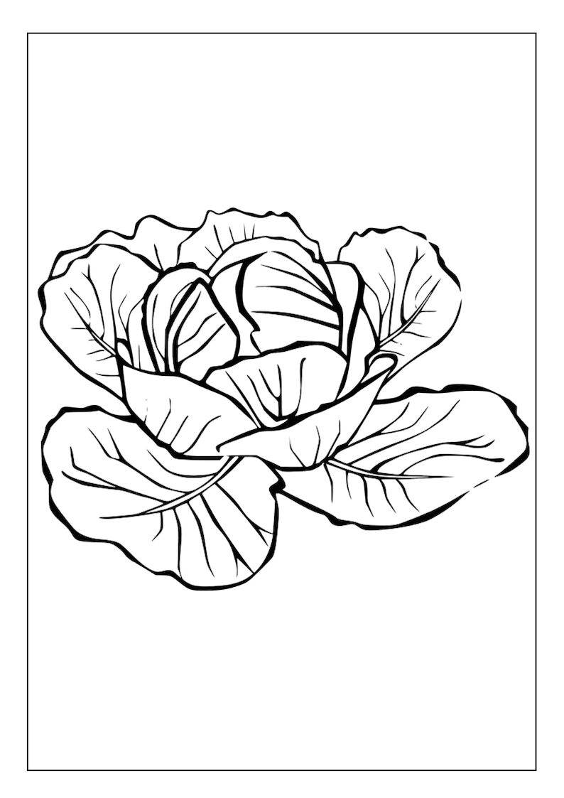 Printable Cabbage Coloring Pages for Kids & Adults | 30 Pages | Instant ...