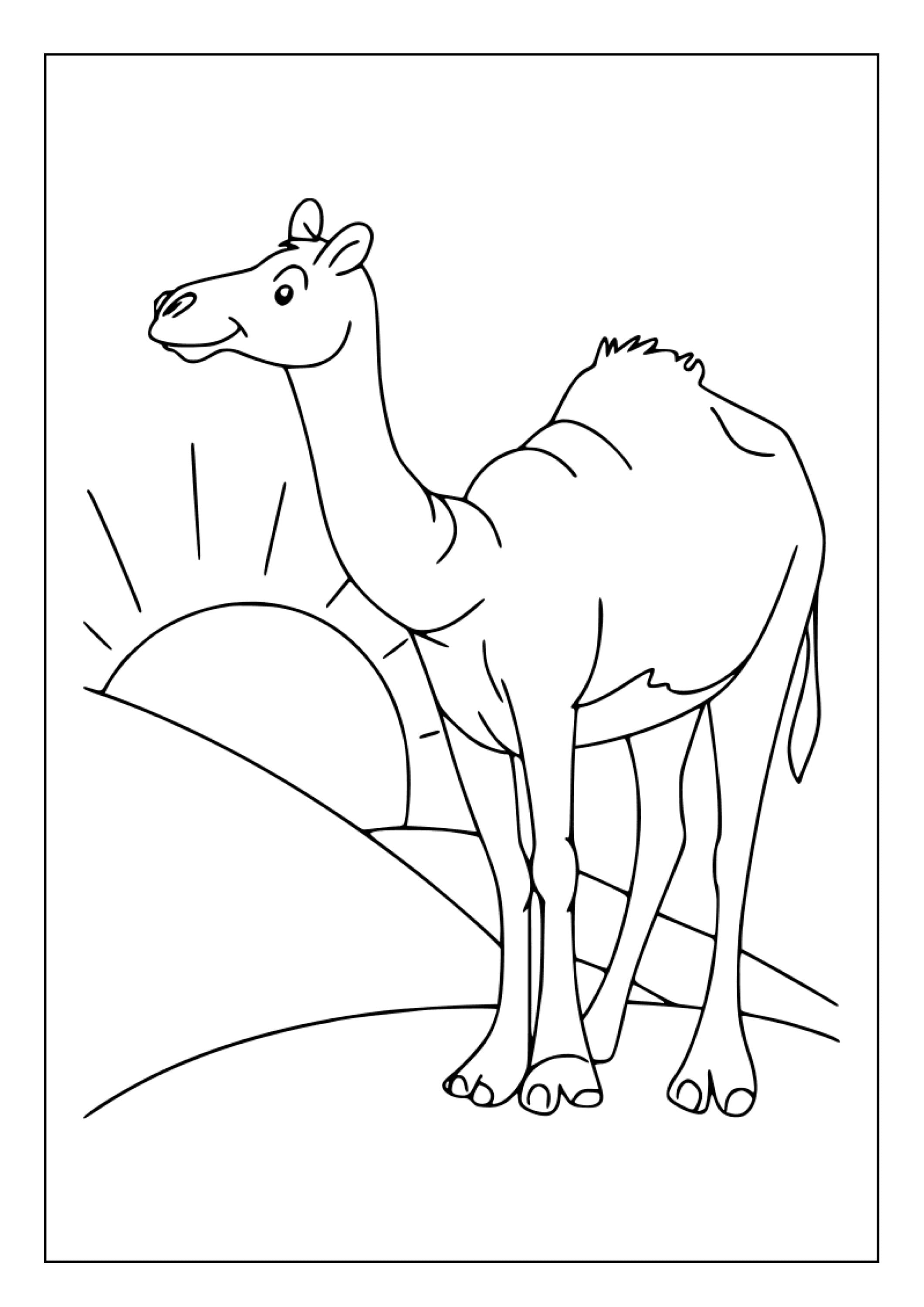 Printable Desert Coloring Pages for Kids and Adults 60 Pages Instant ...