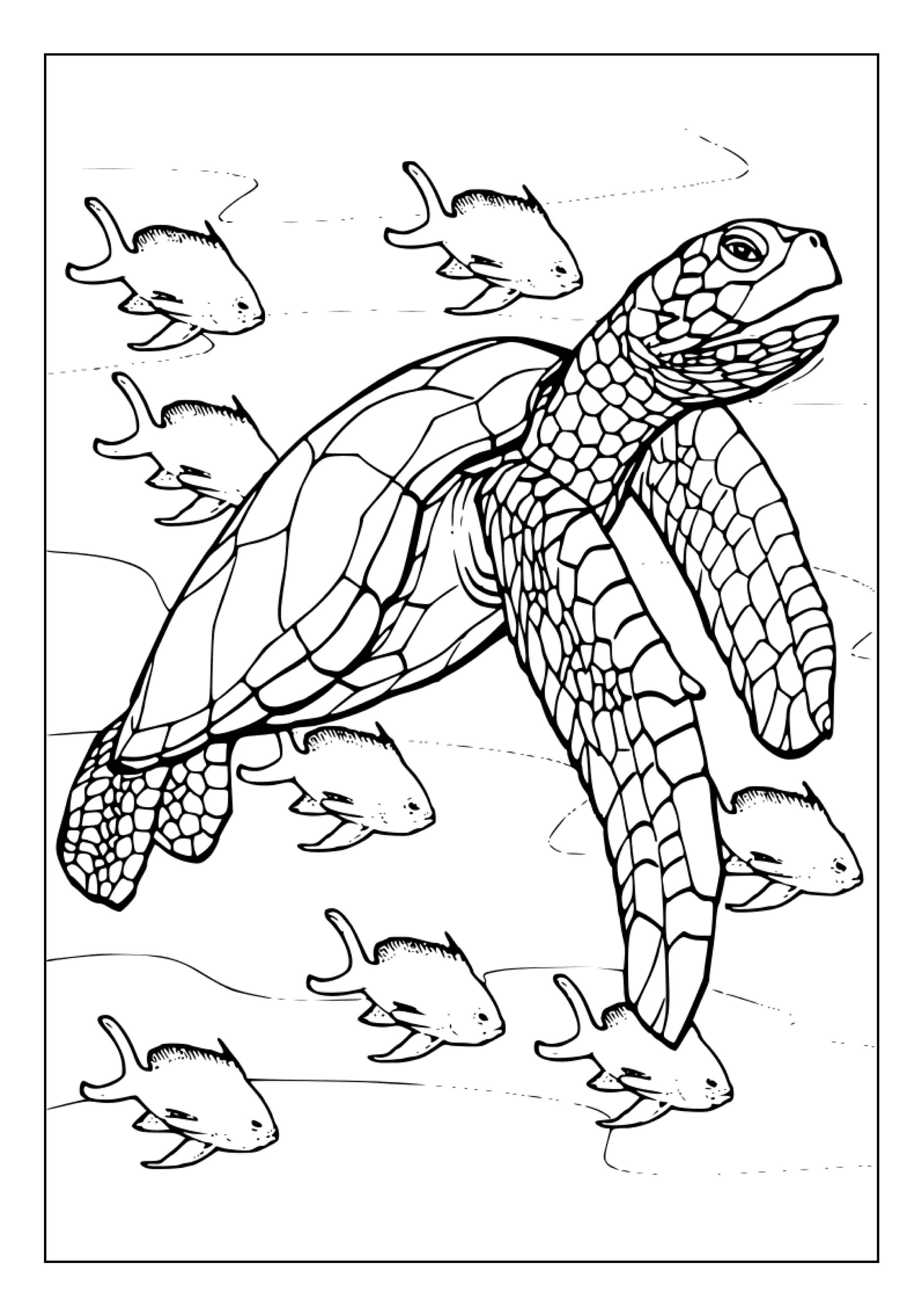 Printable Sea Turtle Coloring Pages for Kids and Adults 45 Pages ...