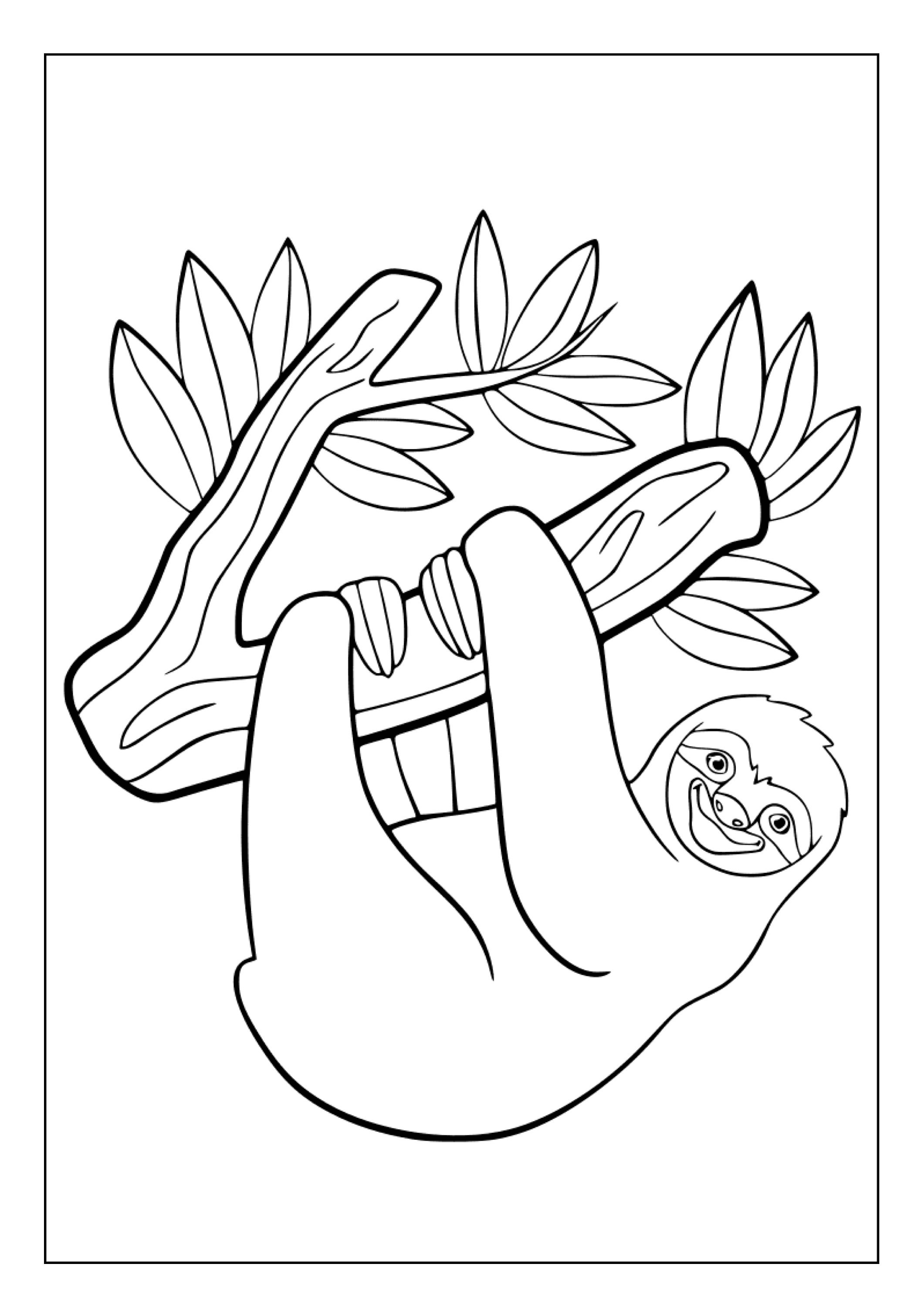 Printable Sloth Coloring Pages for Kids and Adults 90 Pages - Etsy ...