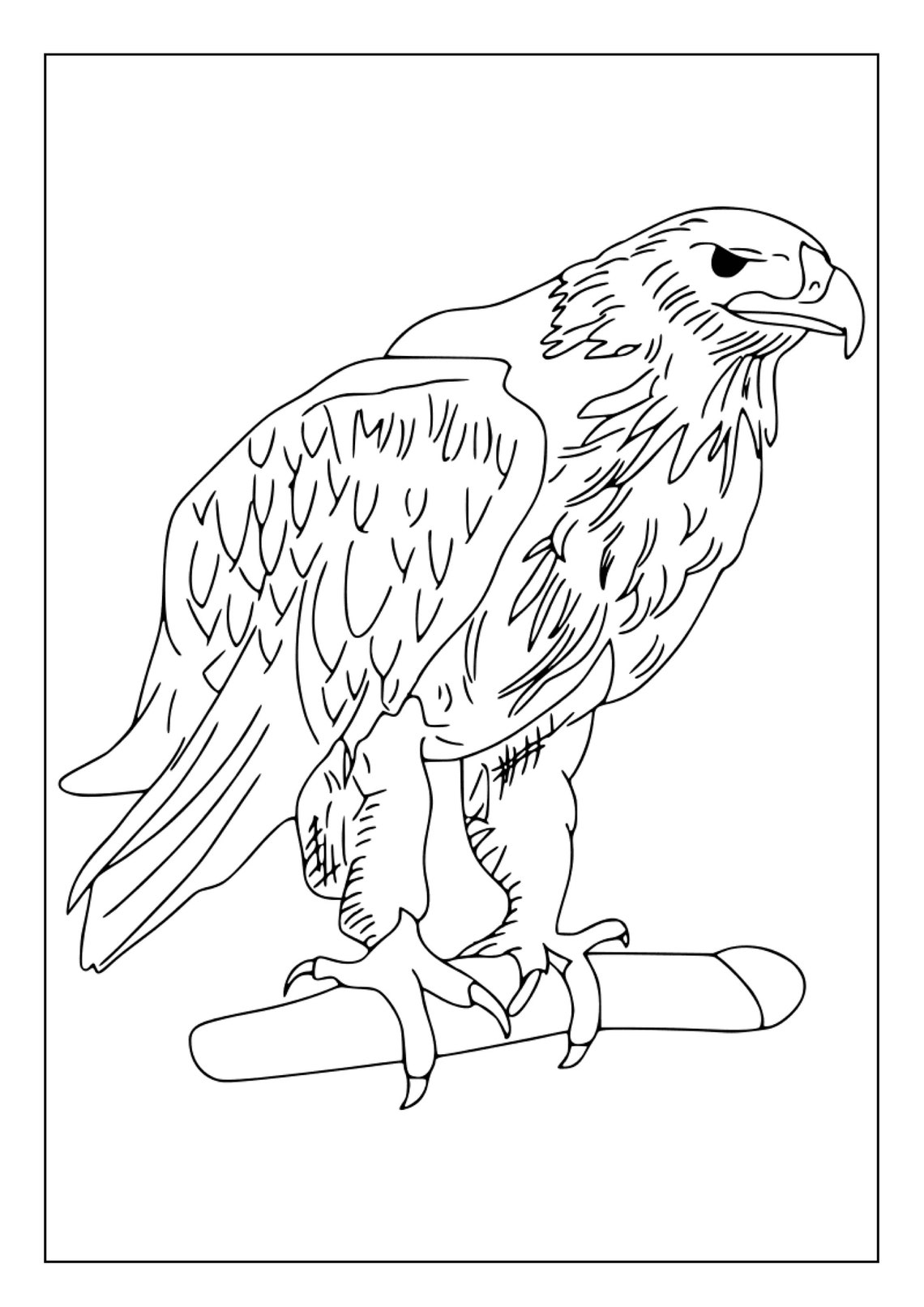 Printable Eagle Coloring Pages for Kids and Adults | 40 Pages | Instant ...