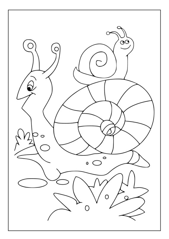 Cute Snail Coloring Pages