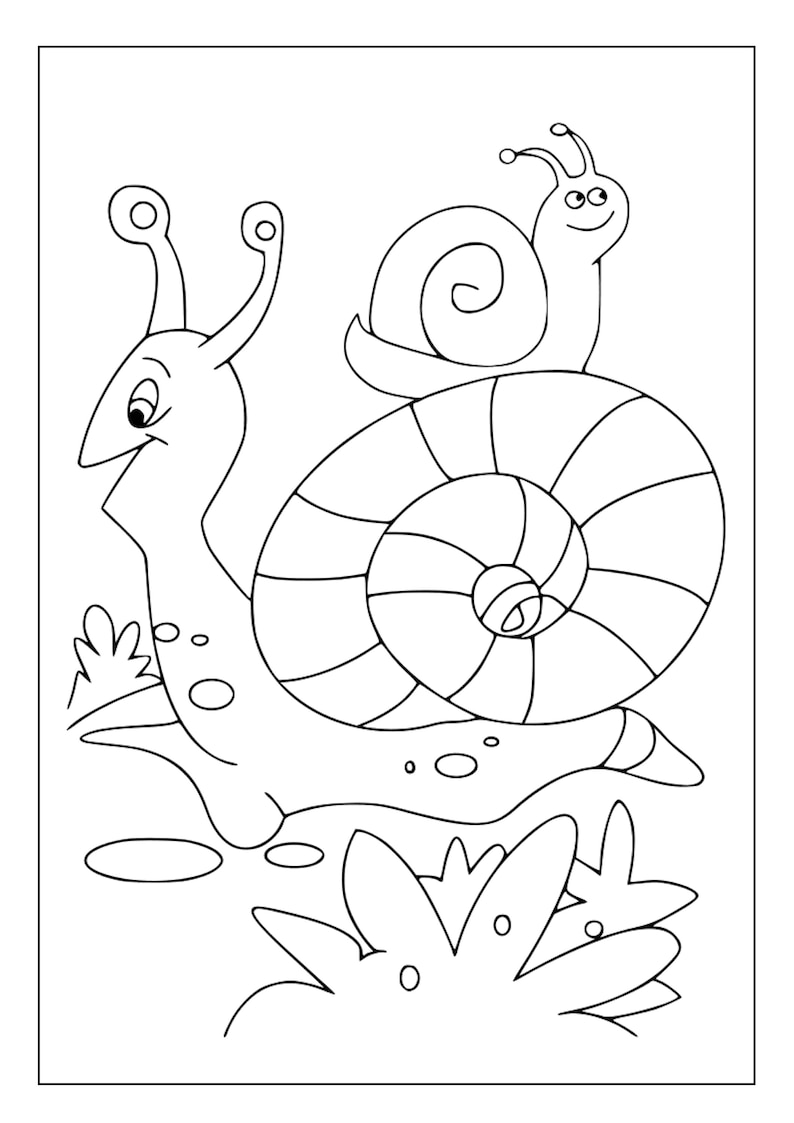 Printable Snail Coloring Pages for Kids and Adults | 90 Pages | Instant ...