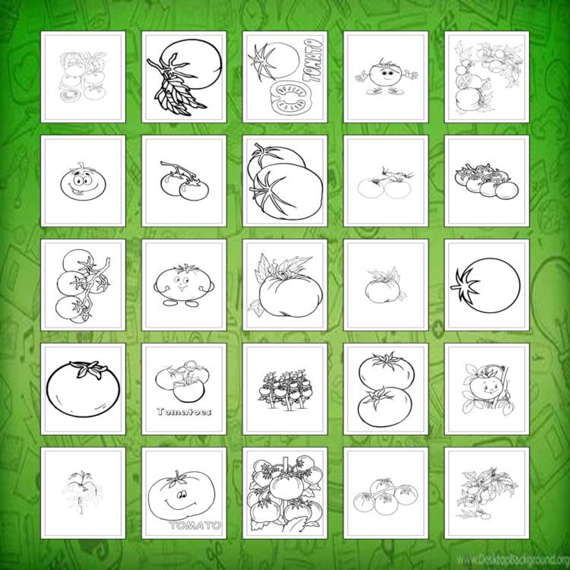 Printable Tomato Coloring Pages for Kids & Adults | 35 Pages | Instant ...
