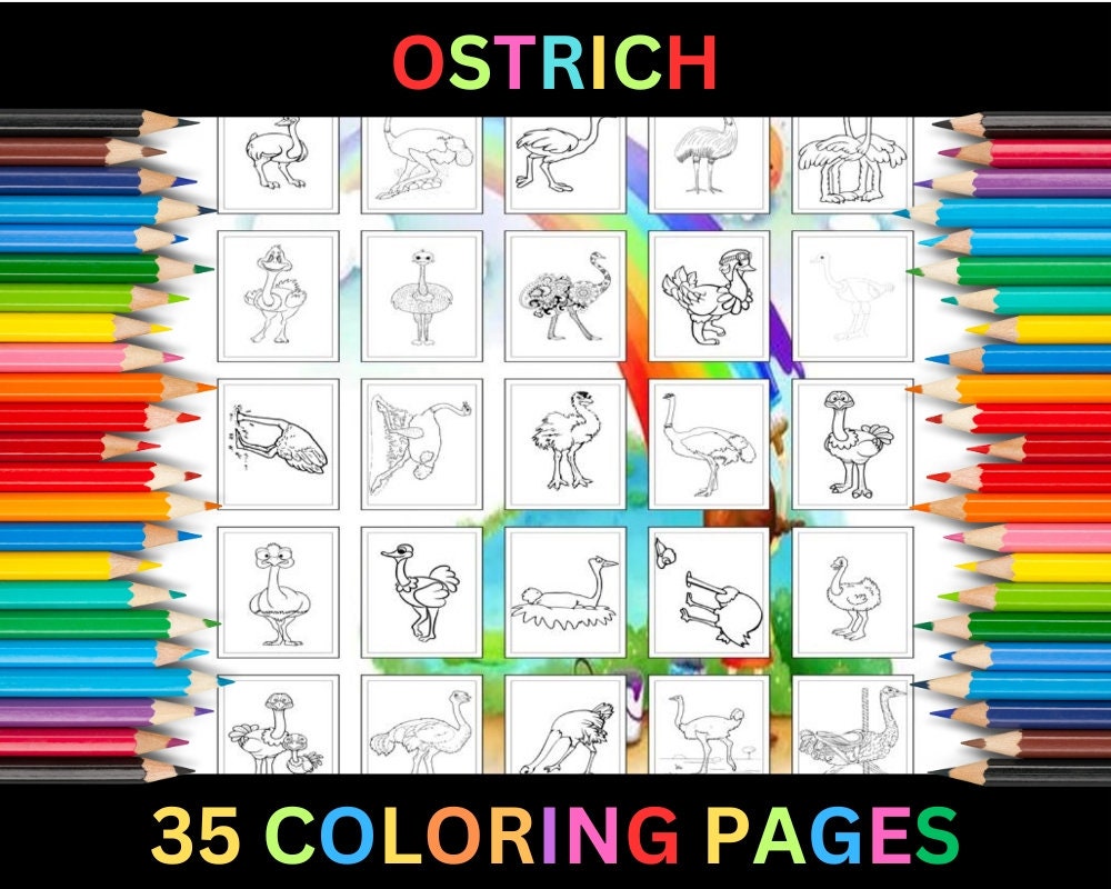 Printable Ostrich Coloring Pages for Kids & Adults | 35 Pages | Digital ...
