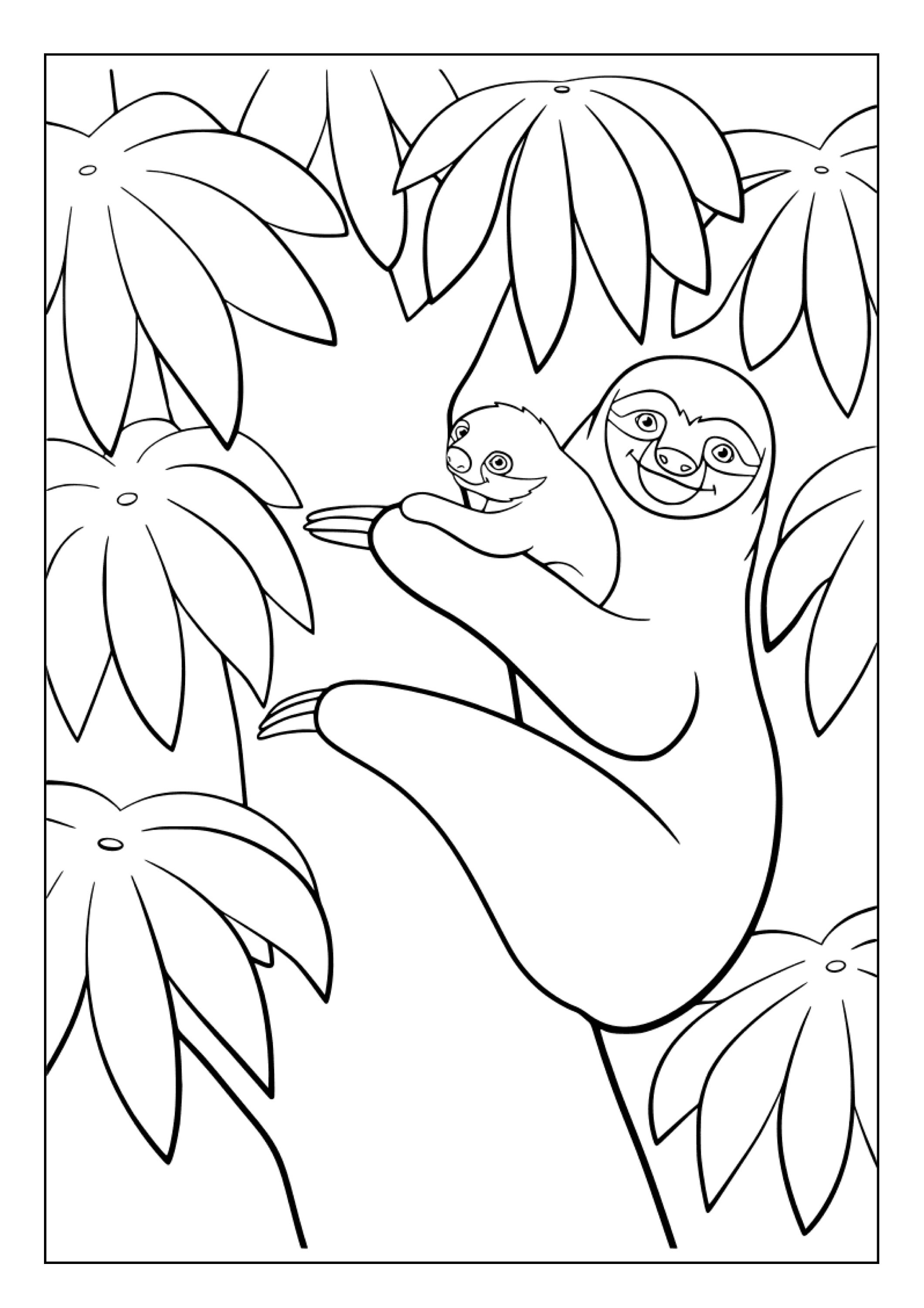 Printable Sloth Coloring Pages for Kids and Adults | 90 Pages | Instant ...