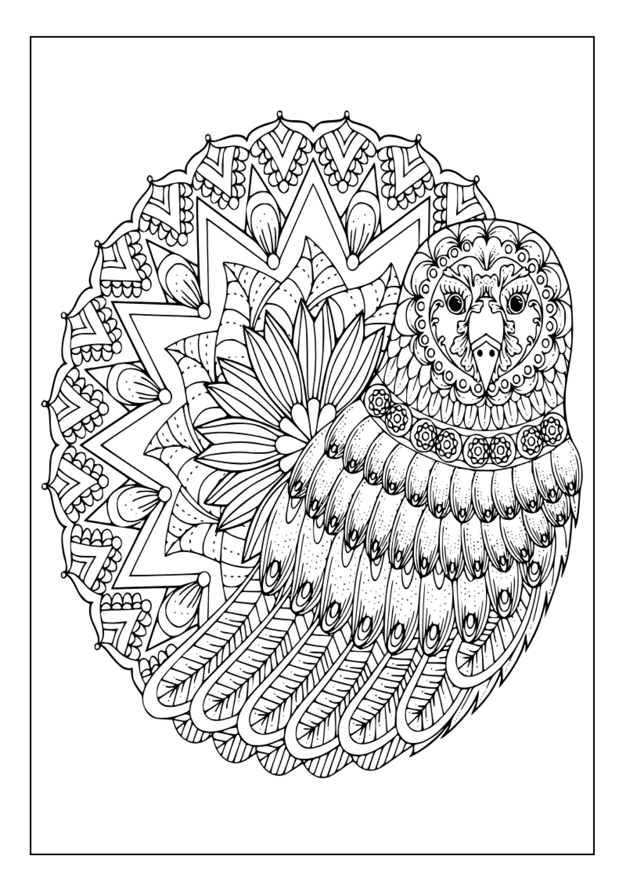 Printable Zentangle Birds Coloring Pages for Kids & Adults 25 Pages ...