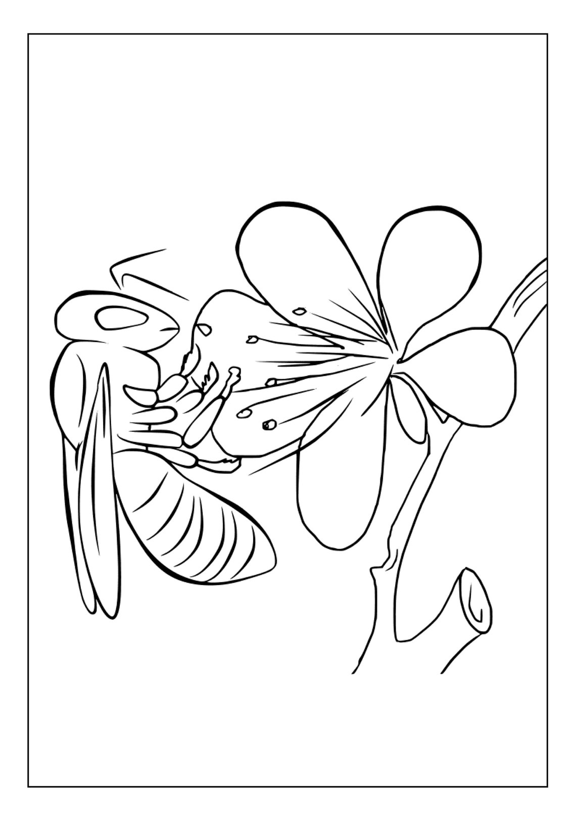 Printable Insects Coloring Pages for Kids and Adults 90 Pages Instant ...