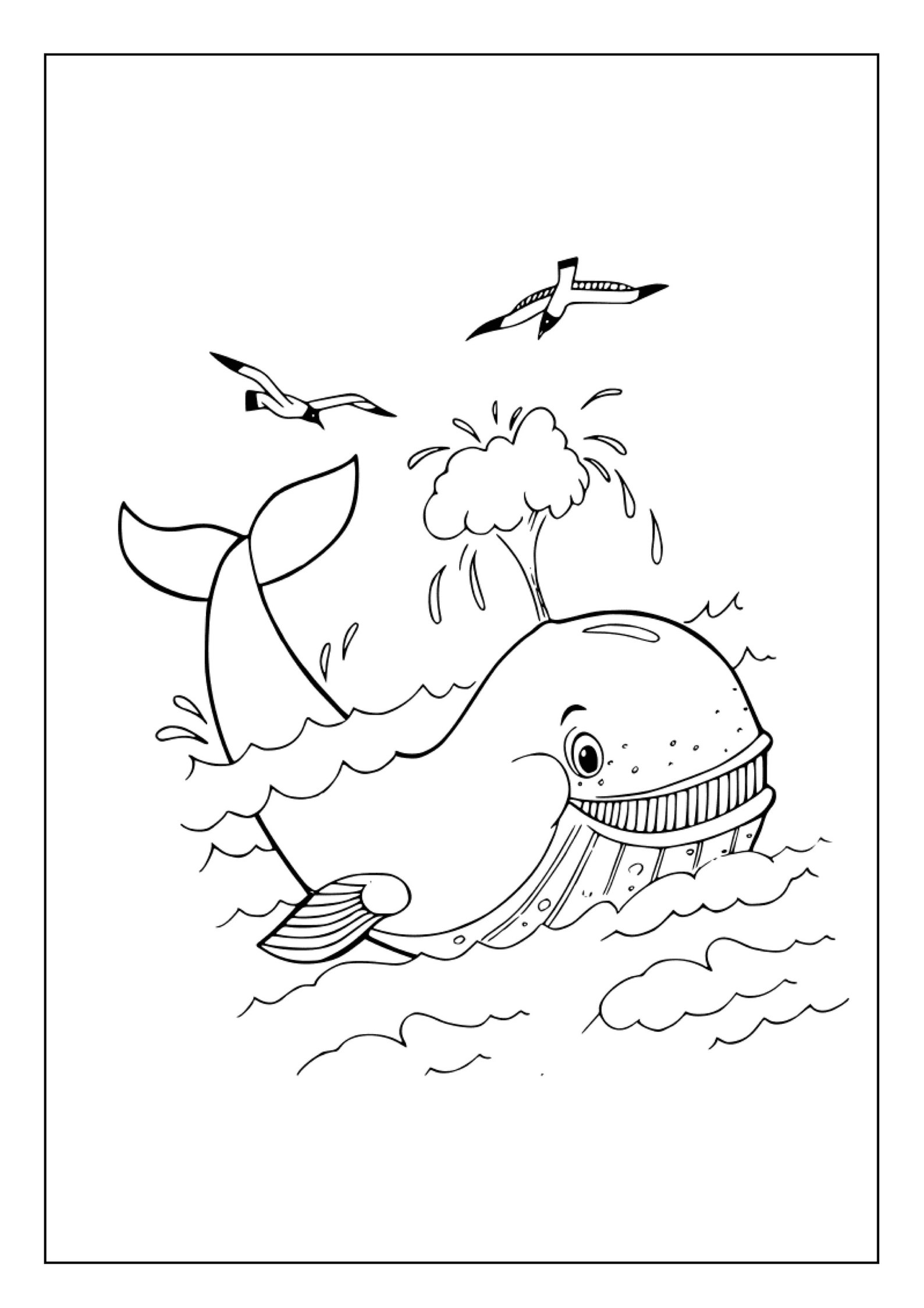 Printable Whale Coloring Pages for Kids and Adults | 90 Pages | Instant ...