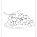 Printable Grapes Coloring Pages for Kids & Adults 30 Pages Instant ...