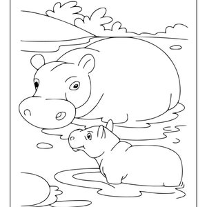 Printable Hippo Coloring Pages for Kids and Adults | 90 Pages | Instant ...