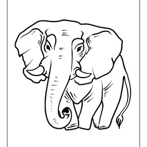 Printable Mammals Coloring Pages for Kids & Adults | 40 Pages | Instant ...