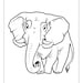 Printable Mammals Coloring Pages for Kids & Adults | 40 Pages | Instant ...