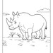 Printable African Animals Coloring Pages for Kids & Adults | 50 Pages ...